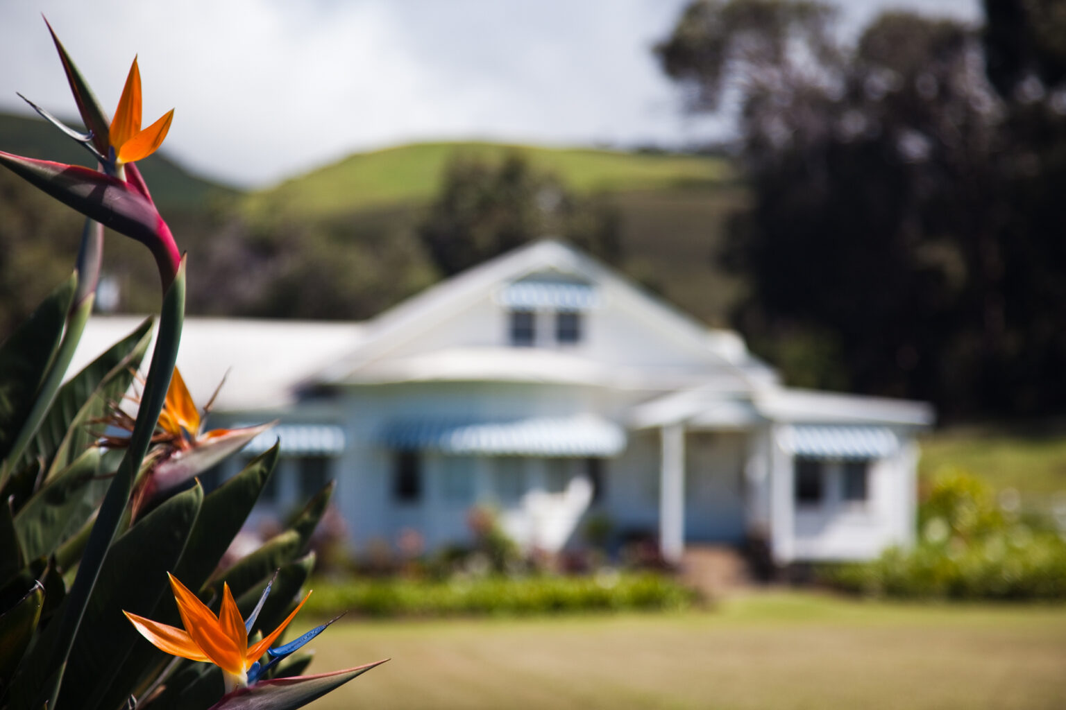 Hawaii in May: A Full Guide to One of the Best Times to Visit (2026)