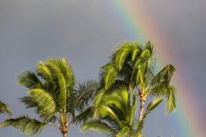 Hawaii in May: A Full Guide to One of the Best Times to Visit (2026)