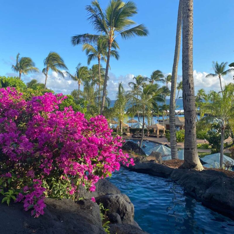 Hawaii in May: A Full Guide to One of the Best Times to Visit (2026)