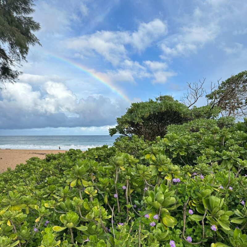 Hawaii in May: A Full Guide to One of the Best Times to Visit (2026)