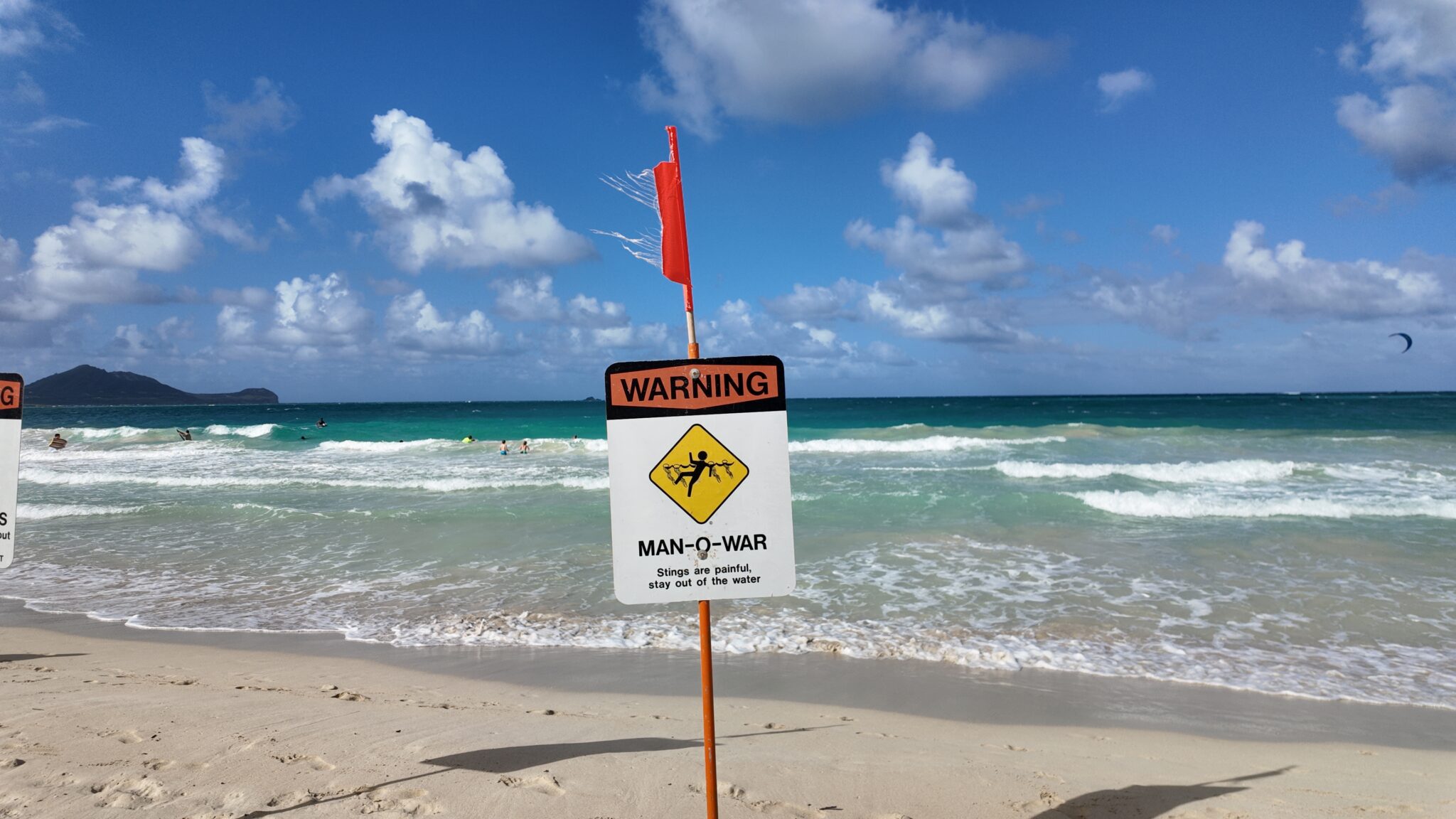 Discover Kailua Beach, Oahu: The Beach Guide